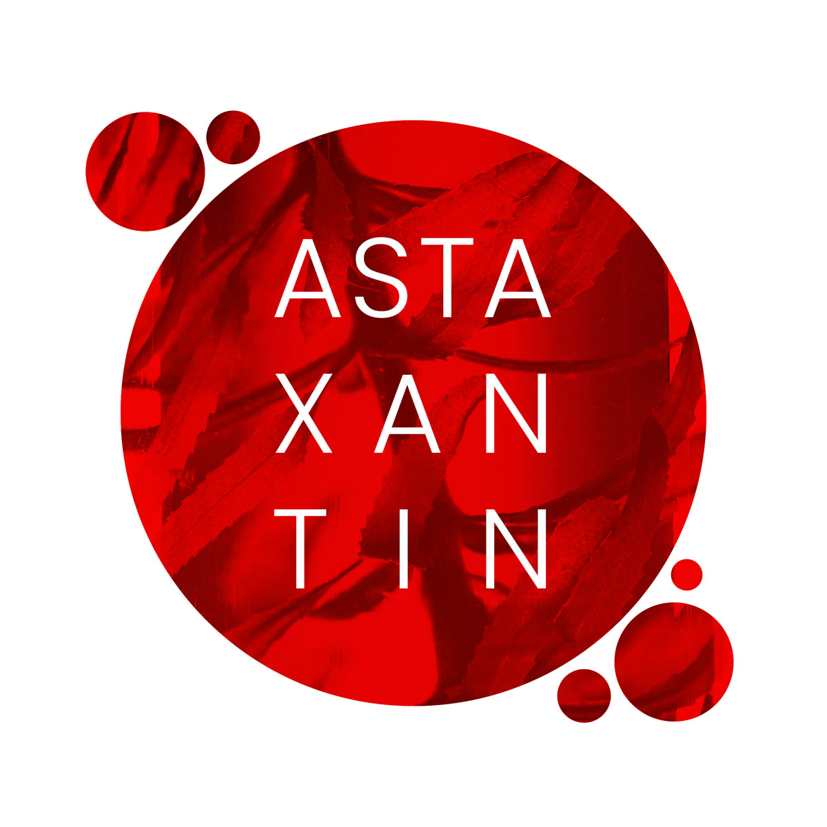 Astaxantin - nejsilnější známý antioxidant